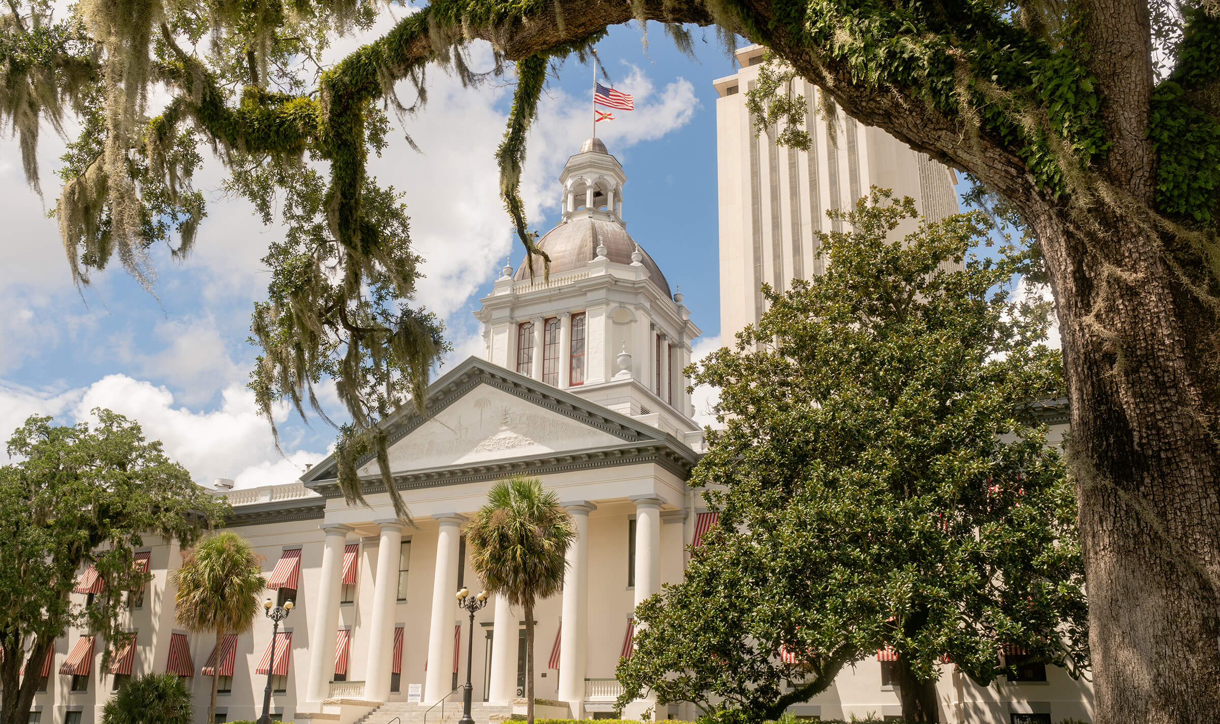 Prosperity in the News – Prosperity Florida